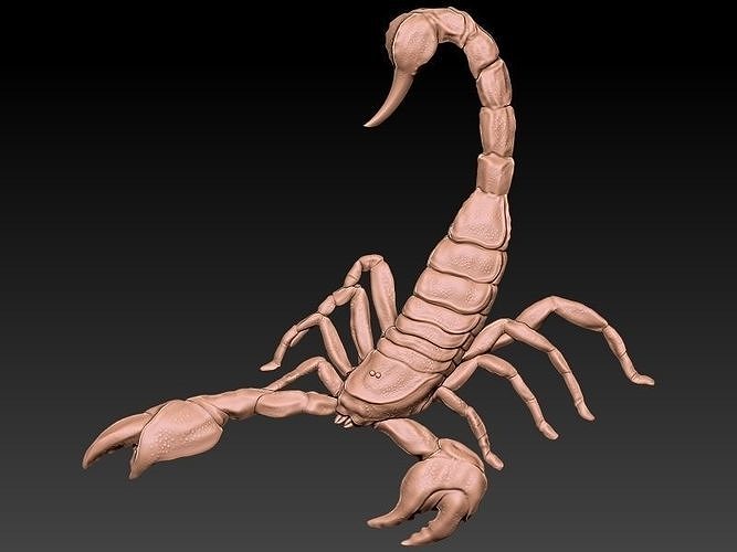 Scorpio 3D Model 3D model 3D printable | CGTrader