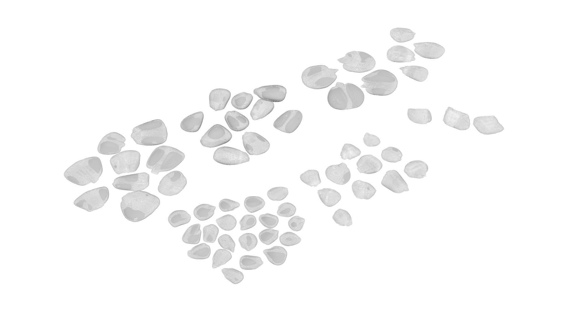 Colored Corn Kernels Set 3D model | CGTrader