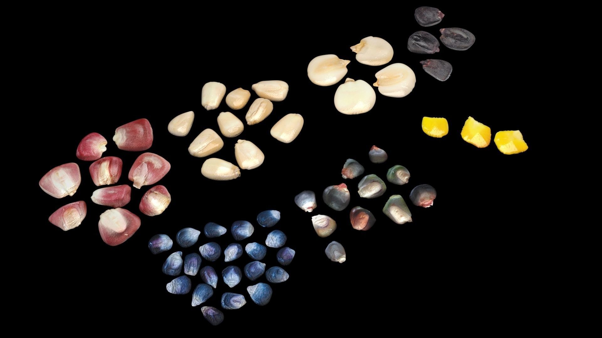 Colored Corn Kernels Set 3D model | CGTrader