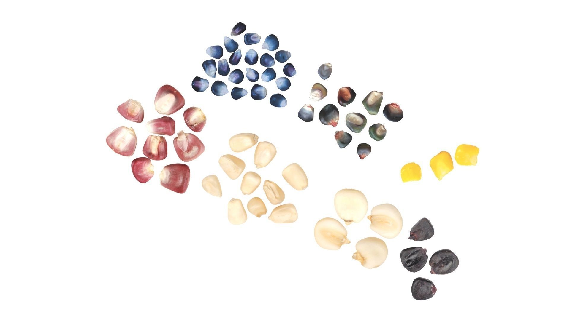 Colored Corn Kernels Set 3D model | CGTrader