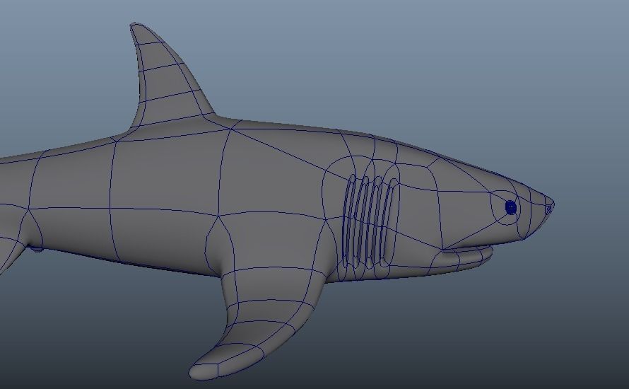 3d shark model 3D model | CGTrader