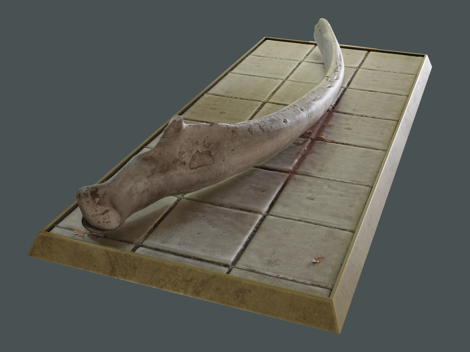 Whale mandible and PBR materials free VR / AR / low-poly 3D model ...