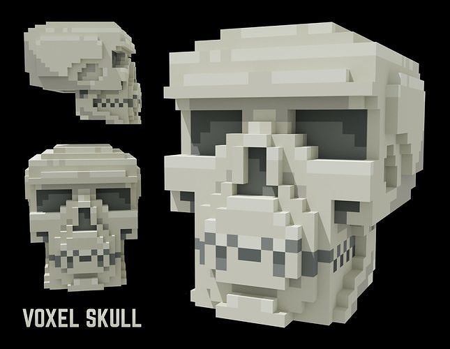 3D model Voxel Human Skull VR / AR / low-poly | CGTrader