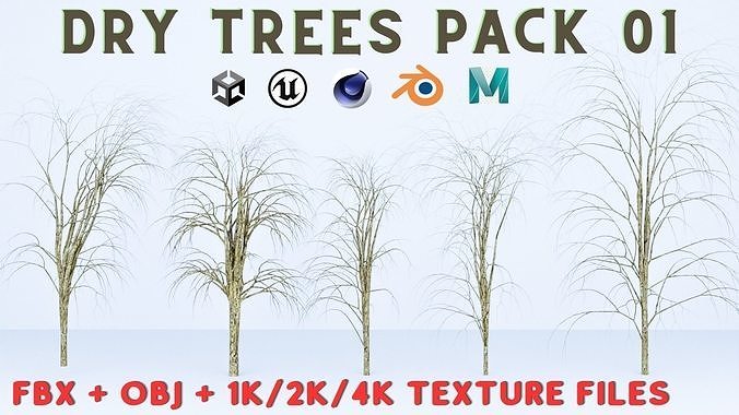 Dry Trees Pack 01 3D model | CGTrader