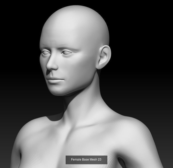 Female Base Mesh Pack 25 Models 3D Model Collection | CGTrader