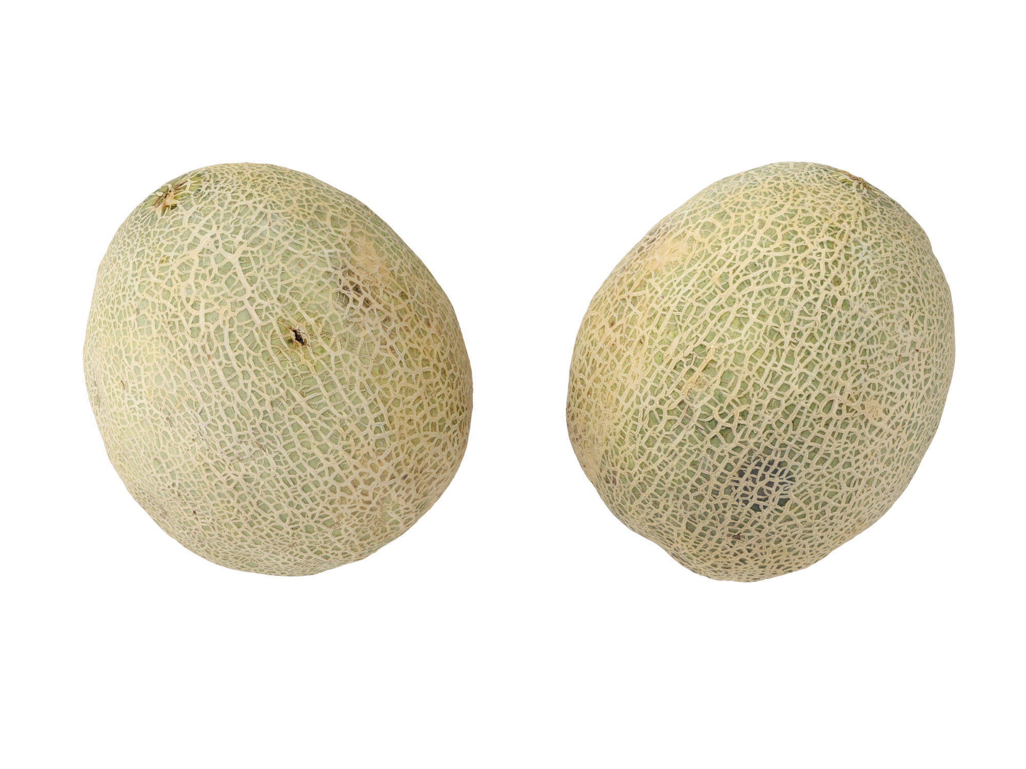Melons 3D model | CGTrader