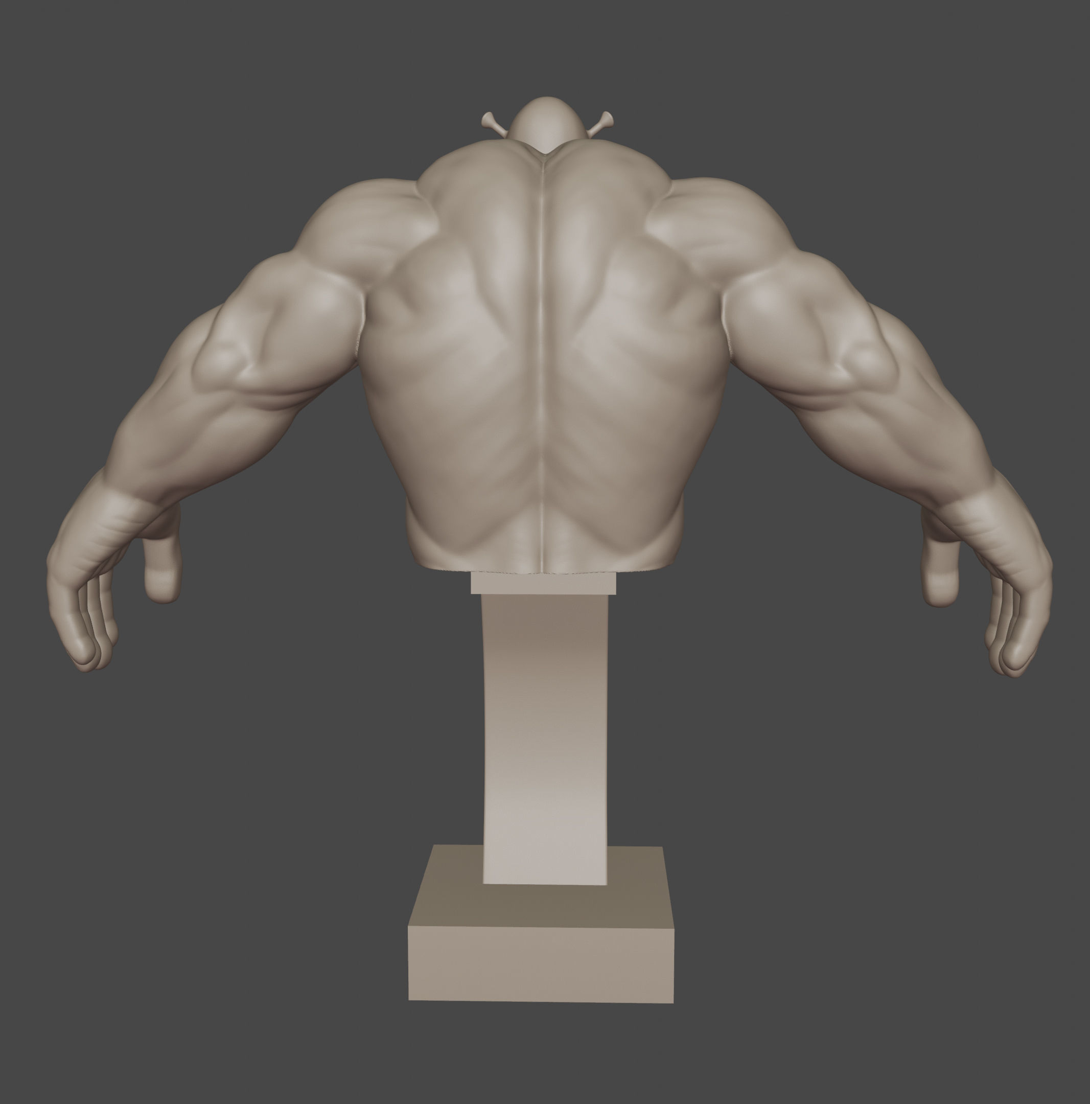Shrek musucle anatomy 3d print 3D model 3D printable | CGTrader