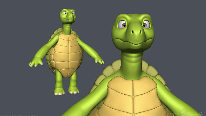 Stylized Cartoon Turtle - Biped 3D model | CGTrader