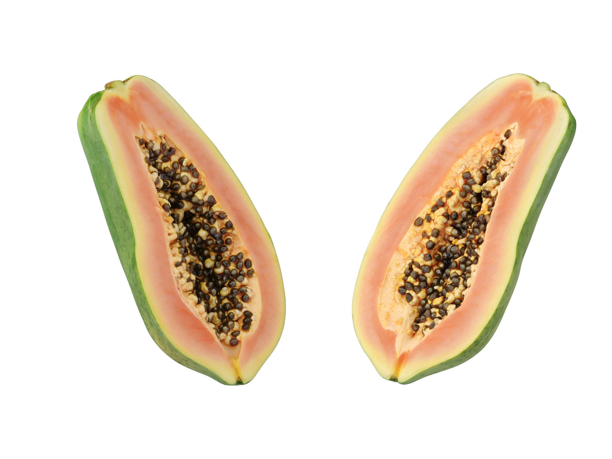 Papaya 3D model | CGTrader