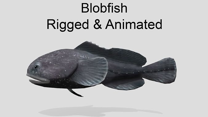 3D model Blobfish Realistic Animated VR / AR / low-poly | CGTrader