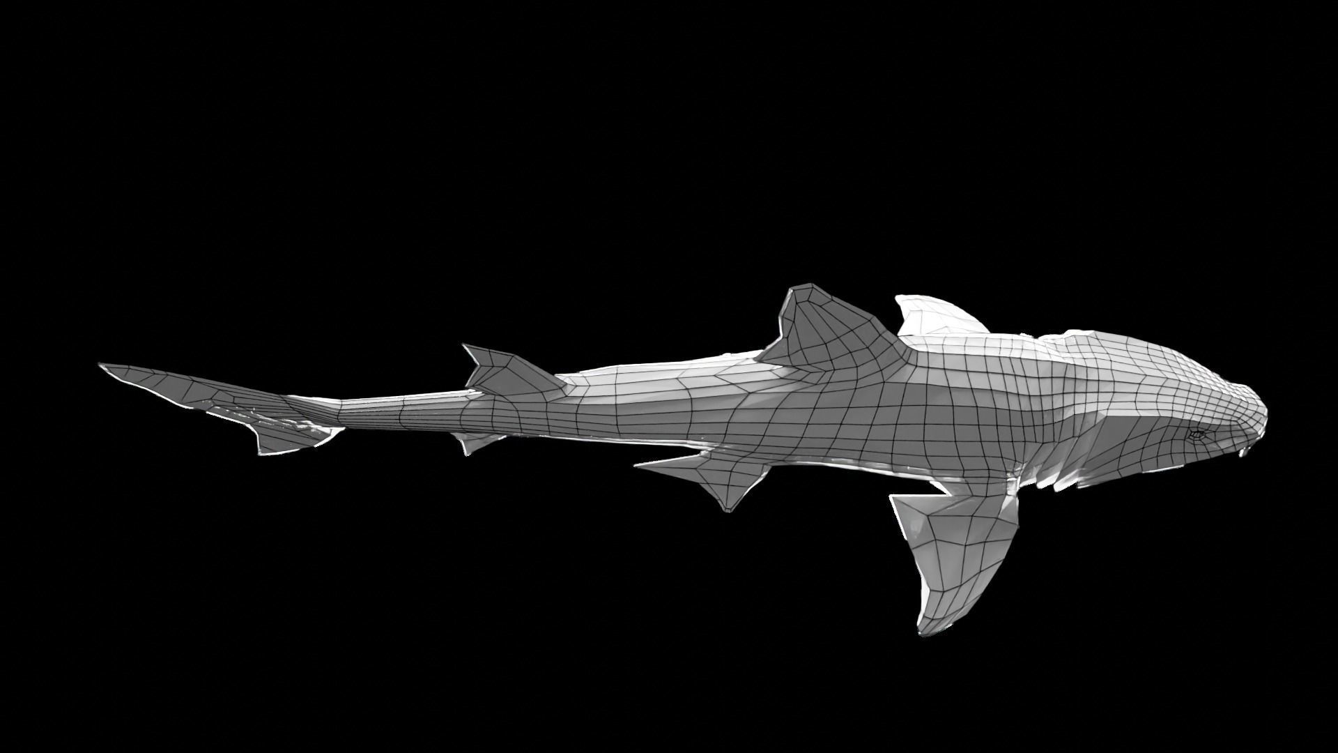 3D model Bamboo Shark Base Mesh VR / AR / low-poly | CGTrader