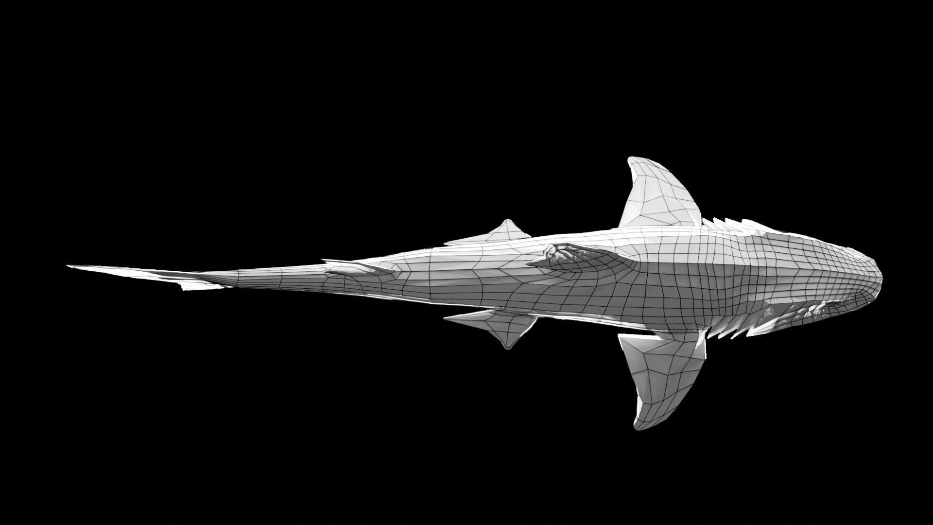 3D model Bamboo Shark Base Mesh VR / AR / low-poly | CGTrader