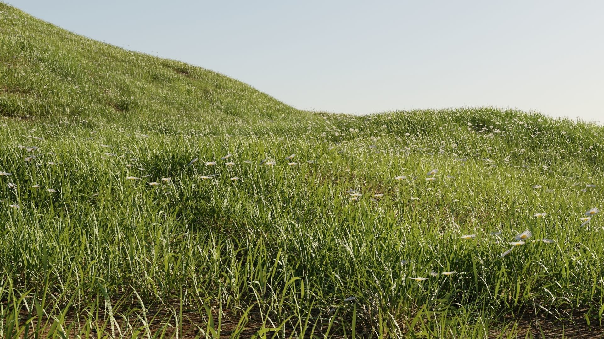 Grass Landscape 3d Model For Free free VR / AR / low-poly 3D model ...