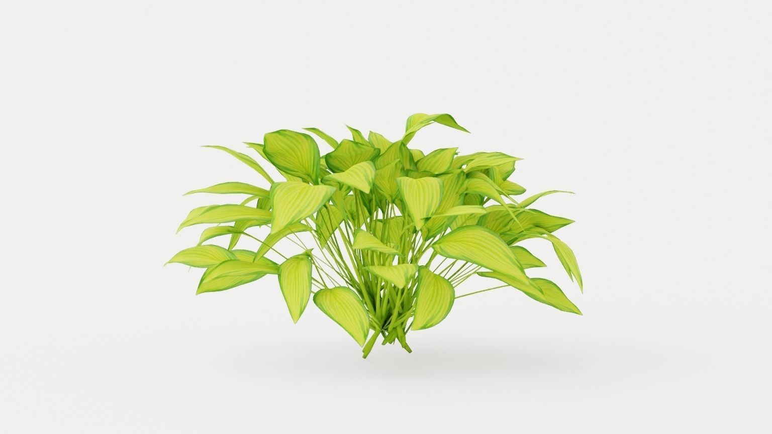 3D model Stained Glass Hosta VR / AR / low-poly | CGTrader