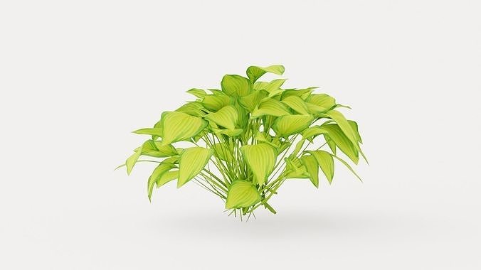 3D model Stained Glass Hosta VR / AR / low-poly | CGTrader