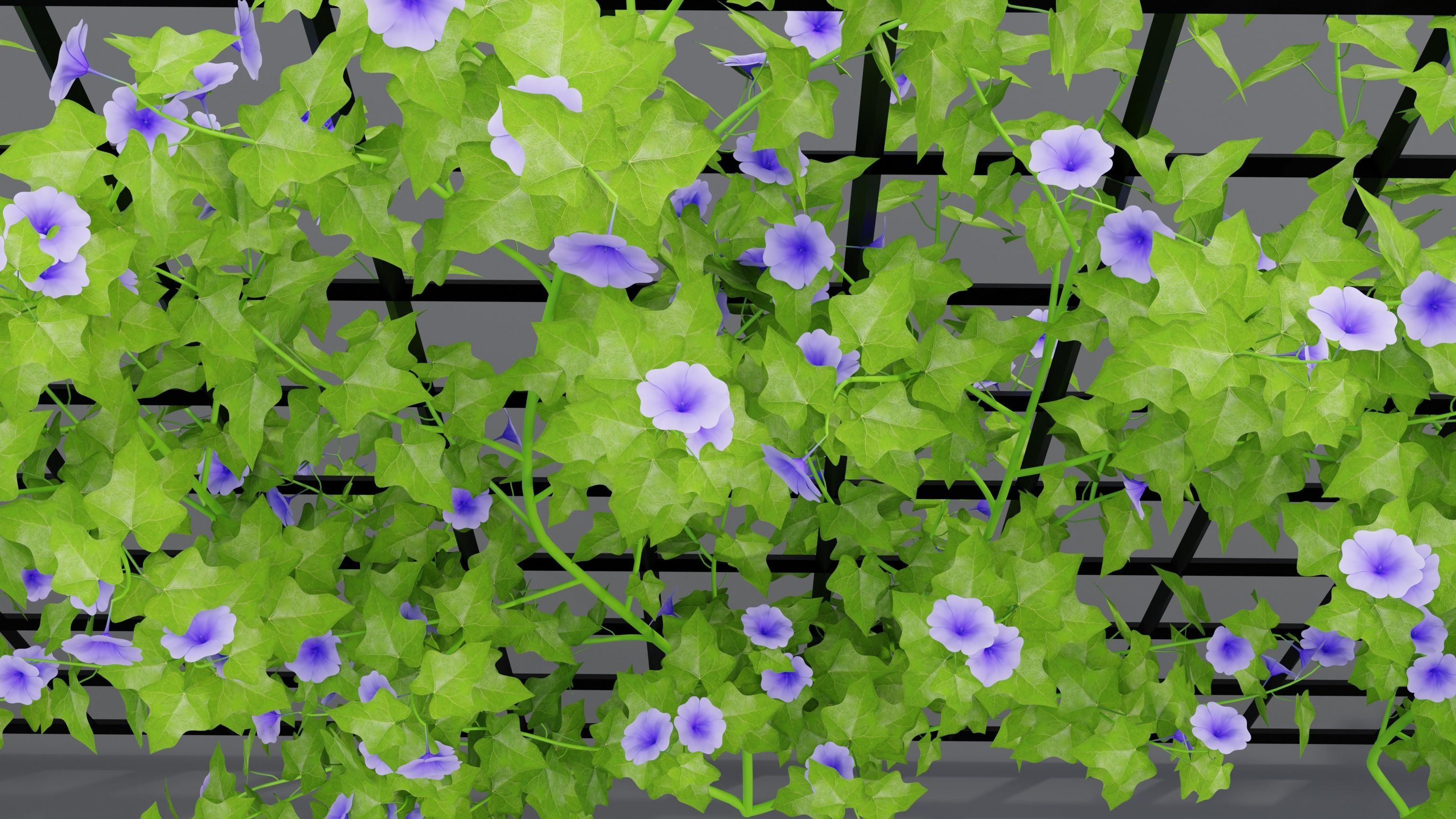 3d Flower Wall 3D model | CGTrader