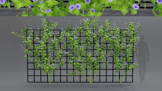 3d Flower Wall 3D model | CGTrader