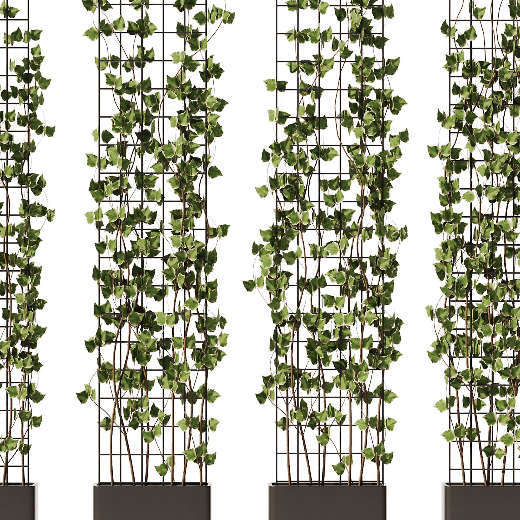 Ivy On Trellis - Set1 3D model | CGTrader