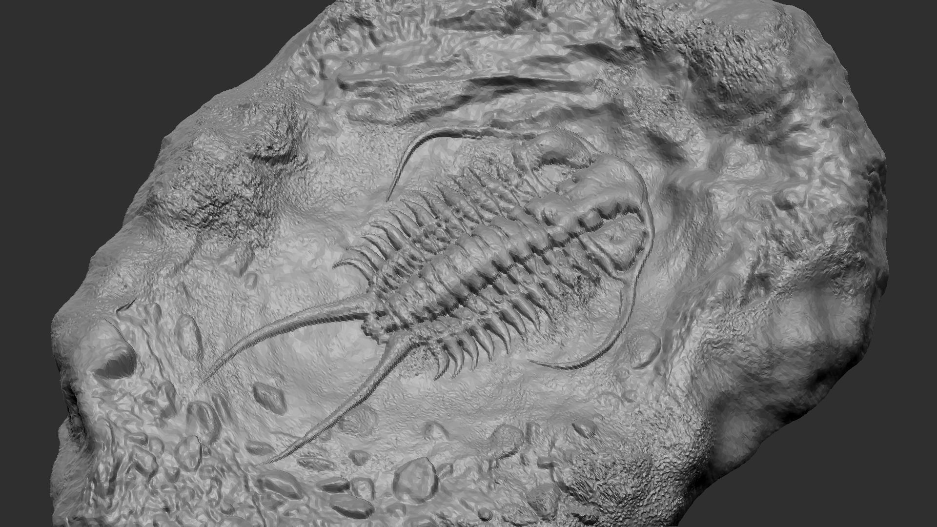 Trilobite Mineral Fossile - Realistic Printable and Keychain 3D model ...