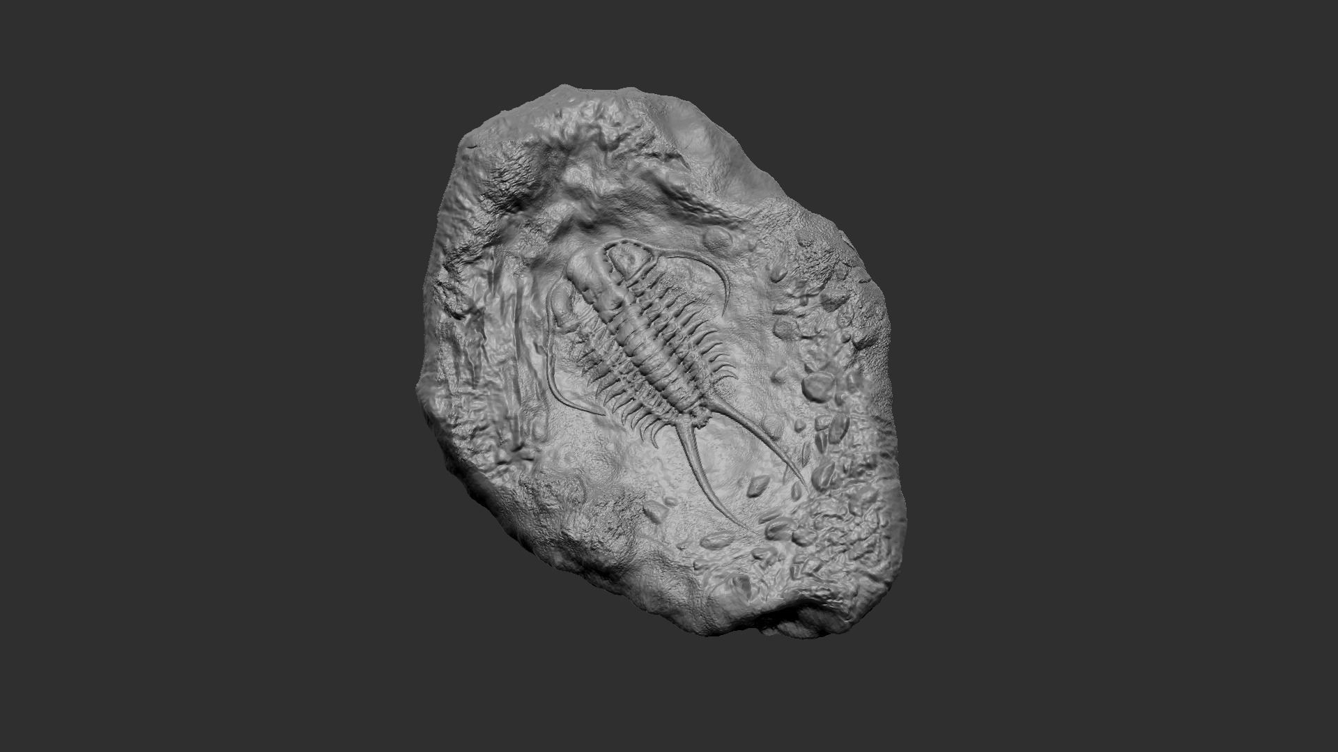 Trilobite Mineral Fossile - Realistic Printable and Keychain 3D model ...