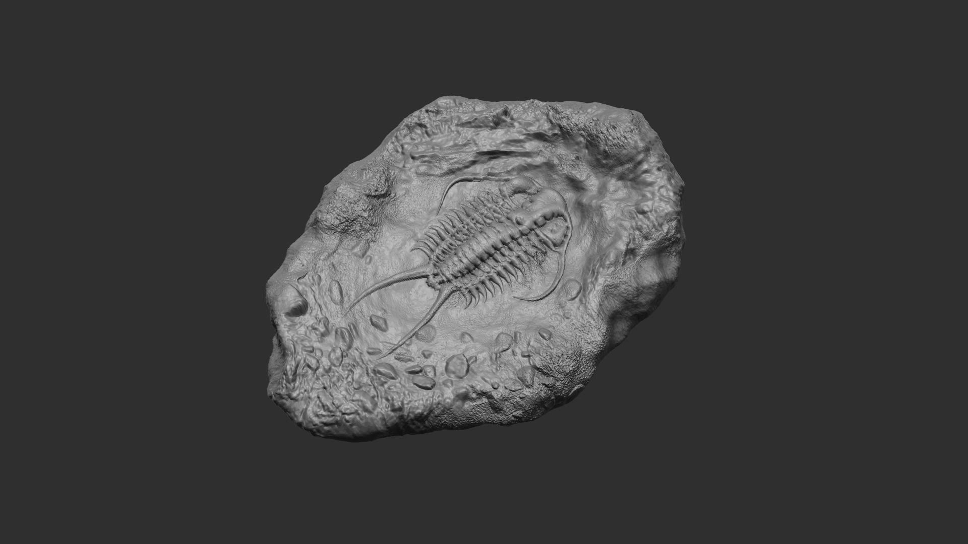 Trilobite Mineral Fossile - Realistic Printable and Keychain 3D model ...