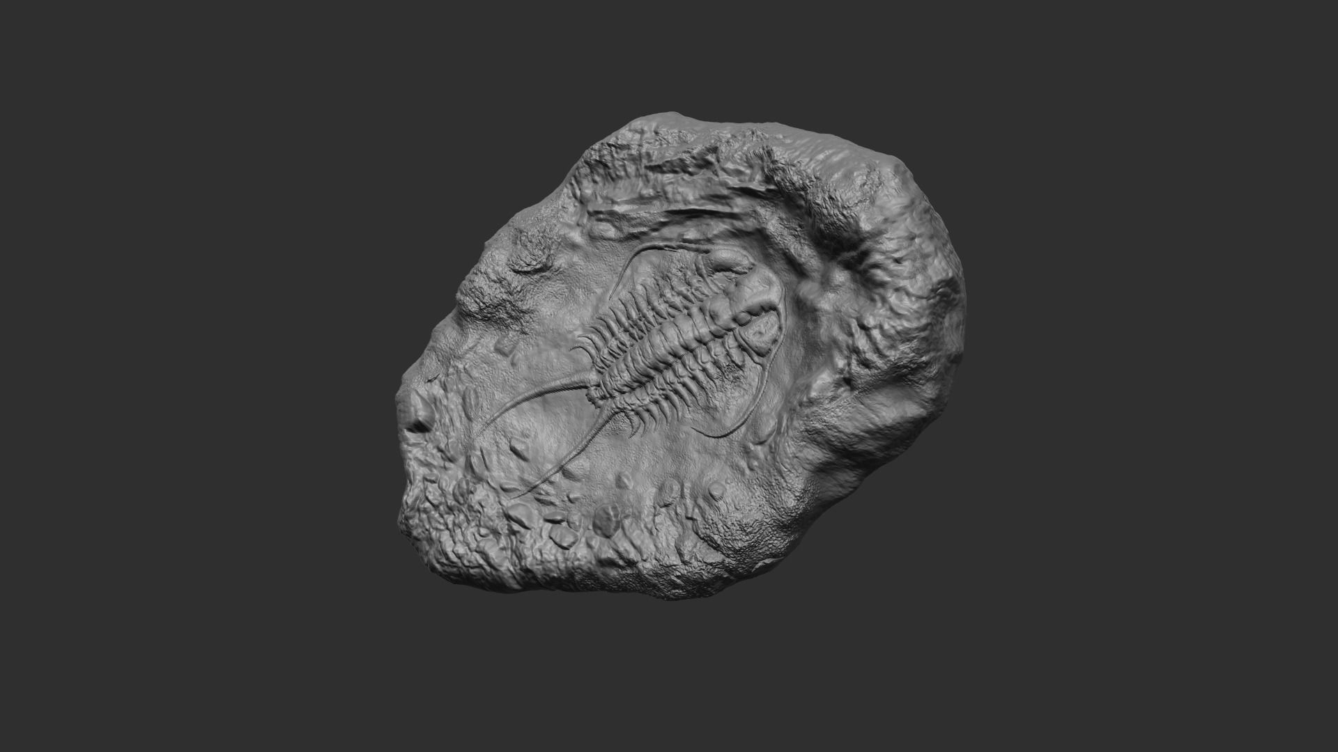 Trilobite Mineral Fossile - Realistic Printable and Keychain 3D model ...