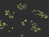 3D model Modular Wetland Plants Set 01 VR / AR / low-poly | CGTrader