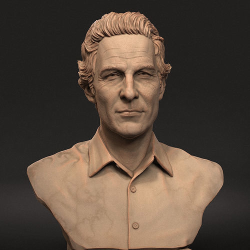 Matthew McConaughey 3D model 3D printable | CGTrader