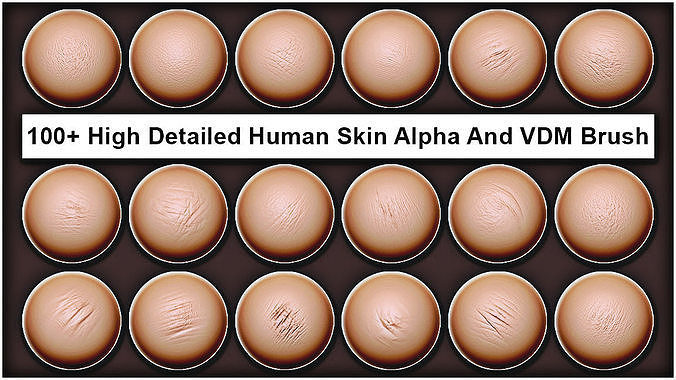 104 High Detailed Human Skin Alpha And VDM Brushes 3D model | CGTrader