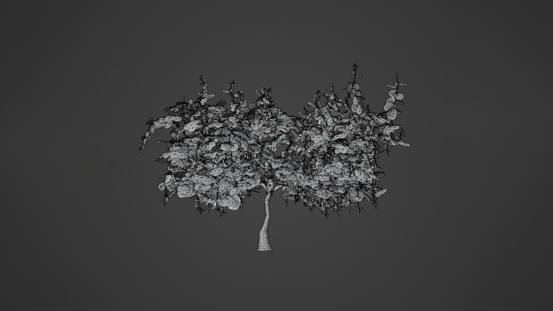 Grapevine Plant 001 Var 006 3D model | CGTrader
