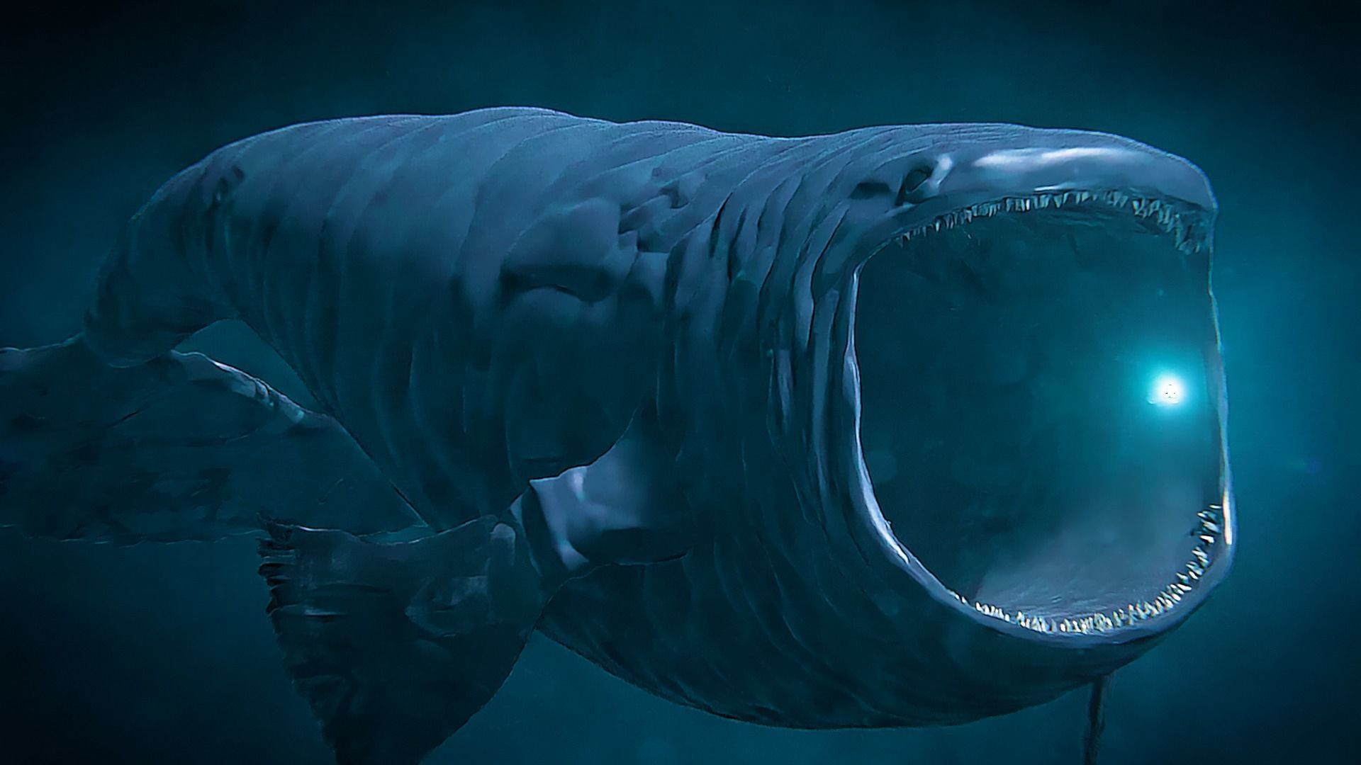 Bloop free 3D model animated rigged | CGTrader