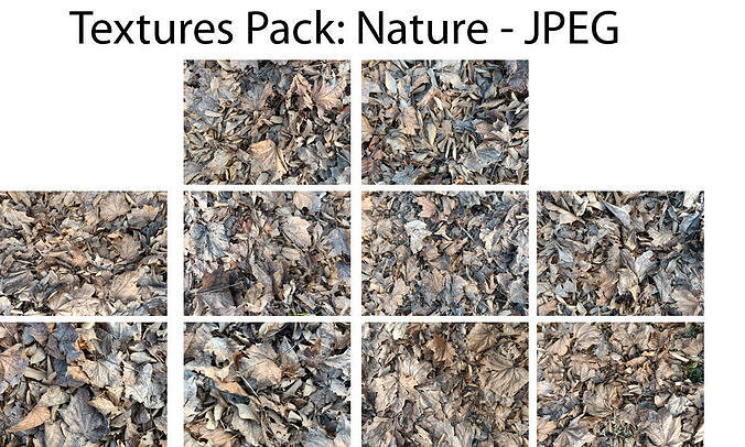 Nature Textures Pack 1 Texture | CGTrader