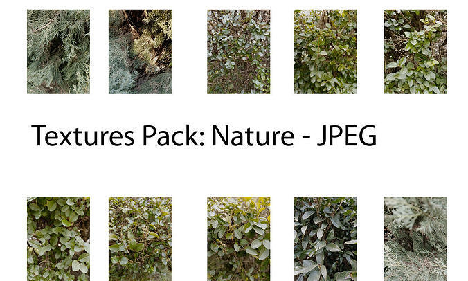Nature Textures Pack 2 Texture | CGTrader