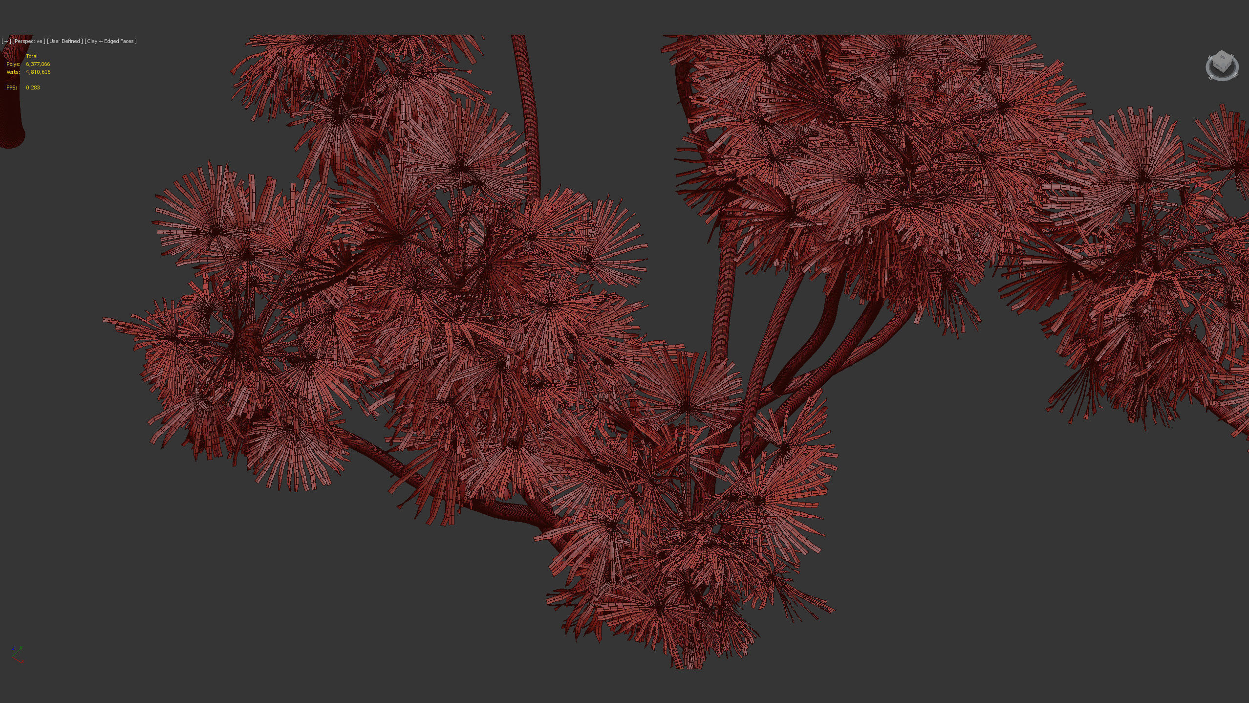 Hyphaene thebaica Doum Palm 3D model | CGTrader