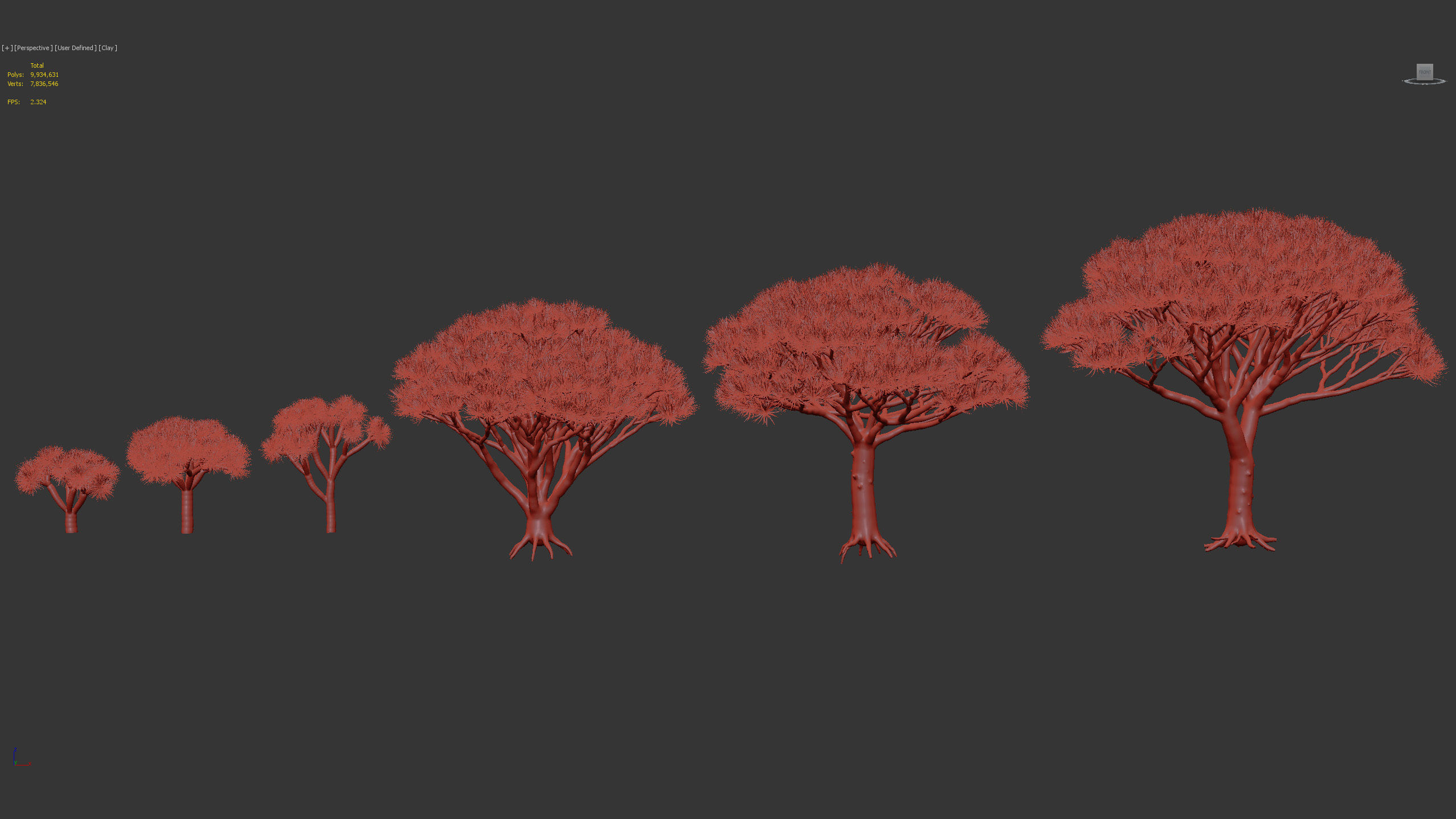 Dracaena draco Dragon tree 3D model | CGTrader