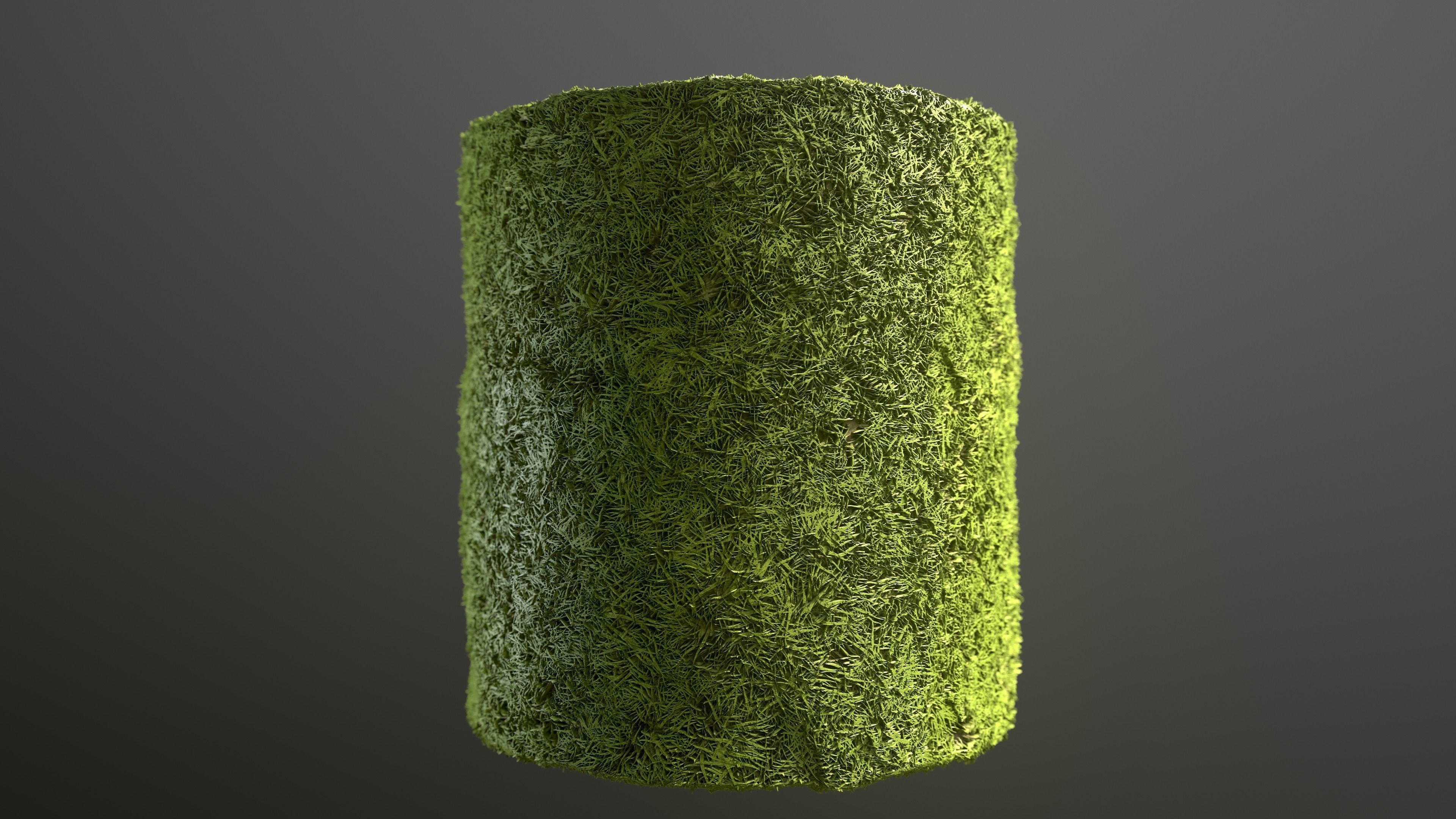 Meadow 4k PBR texture 3D Model Collection | CGTrader