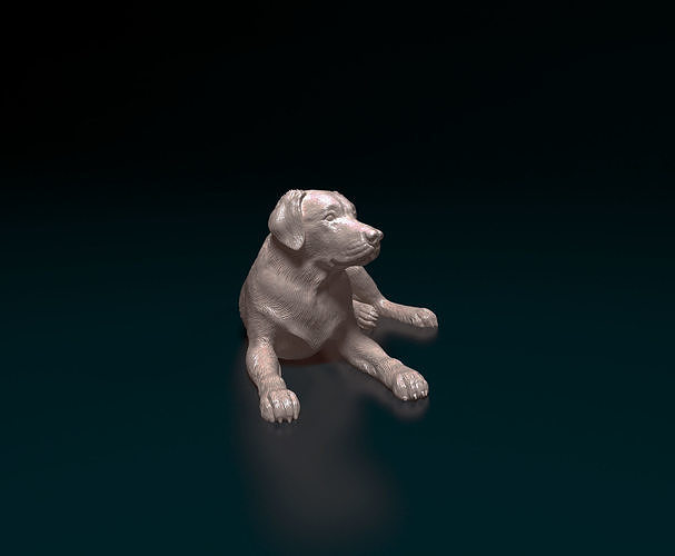 Labrador 04 3D model 3D printable | CGTrader