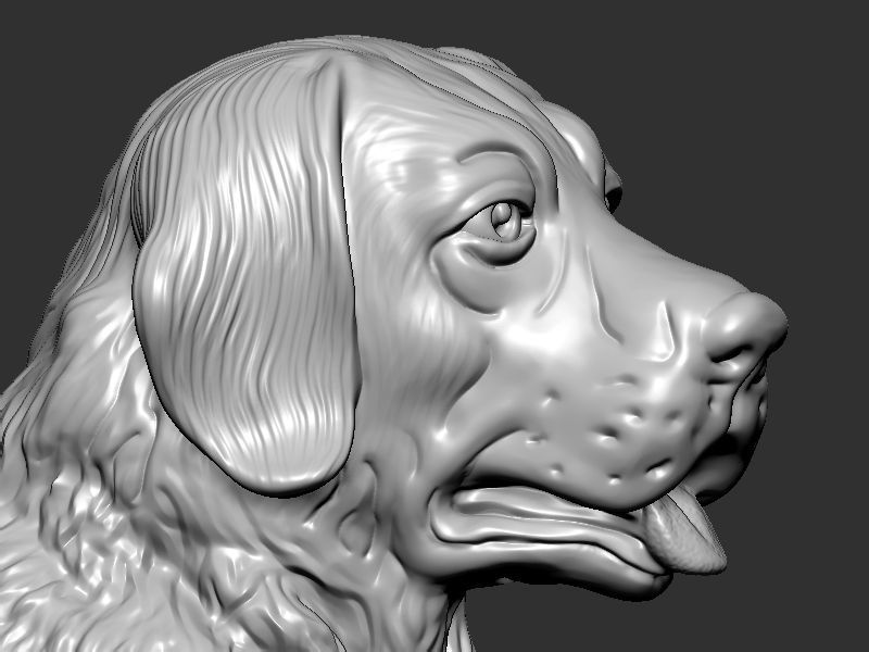 Labrador Dog Bust 3D model 3D printable | CGTrader