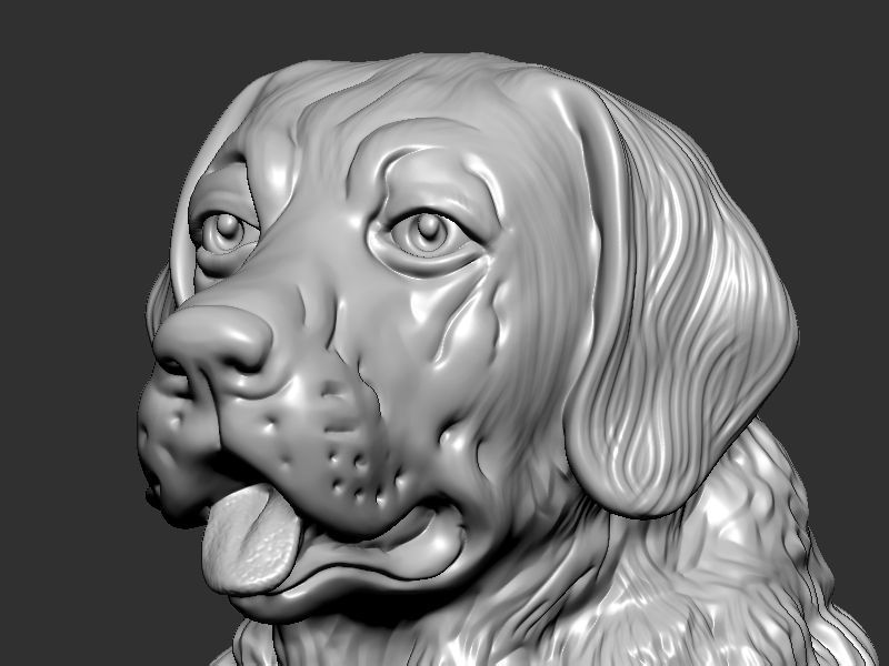 Labrador Dog Bust 3D model 3D printable | CGTrader