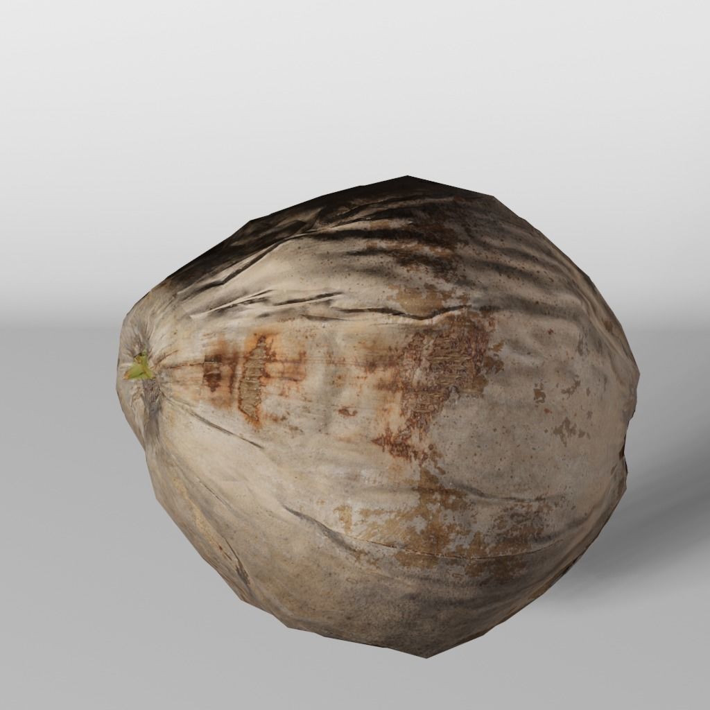 3D model dried coconut tropical fruit VR / AR / low-poly | CGTrader