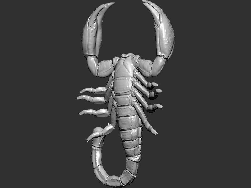 Scorpion model 3D model 3D printable | CGTrader