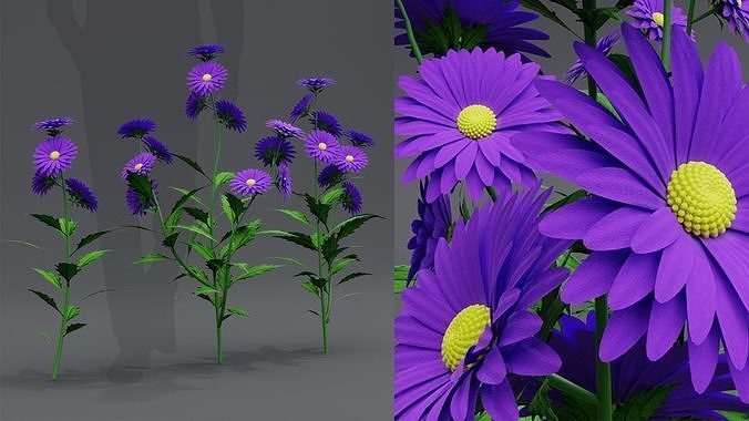 3d Flower Plant 3D model | CGTrader