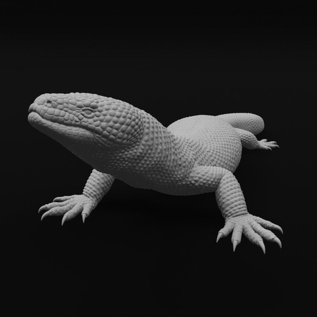 Gila Monster Lizard Realistc Venomous Reptile 3D Print Model 3D model 3D printable | CGTrader