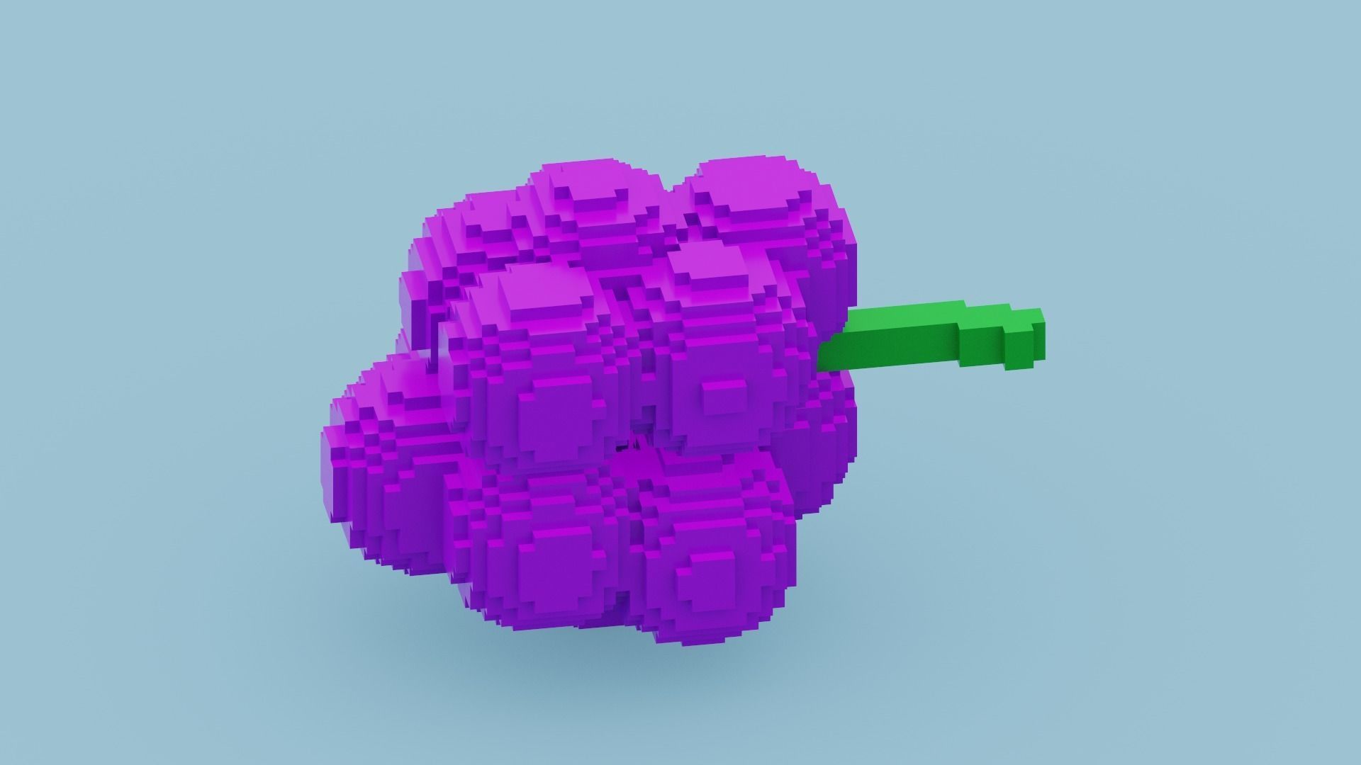 3D model Voxel Grapes VR / AR / low-poly | CGTrader
