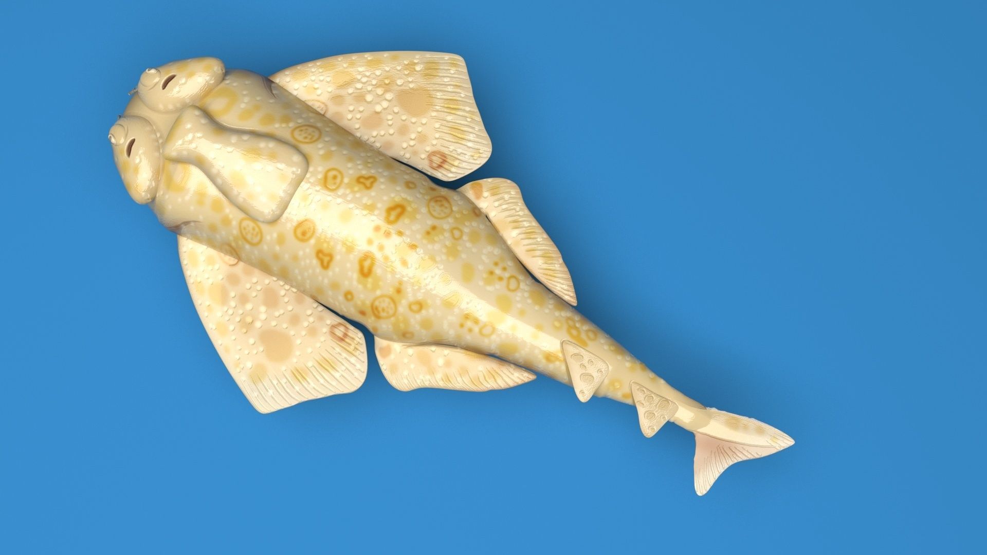 Angel Shark 3d Model Cgtrader