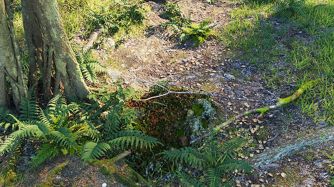 The Forest - Full Model Sketchup - V-ray Render 3D model | CGTrader
