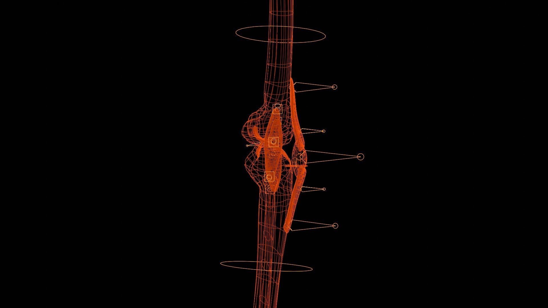 3D model Knee anatomy template VR / AR / low-poly | CGTrader