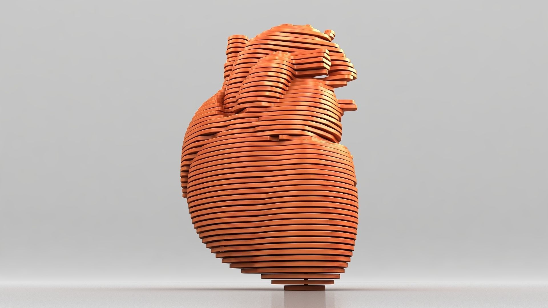 Parametric Human Heart Models 3D model | CGTrader