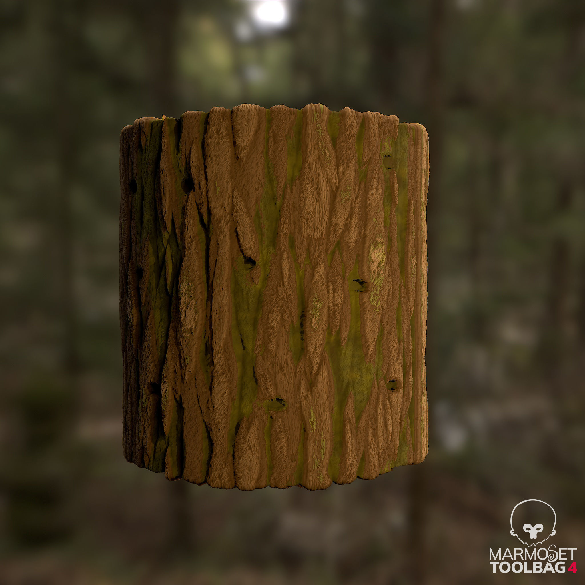 Bark Material Creation Pack SBS And SBSAR Files Included Texture | CGTrader