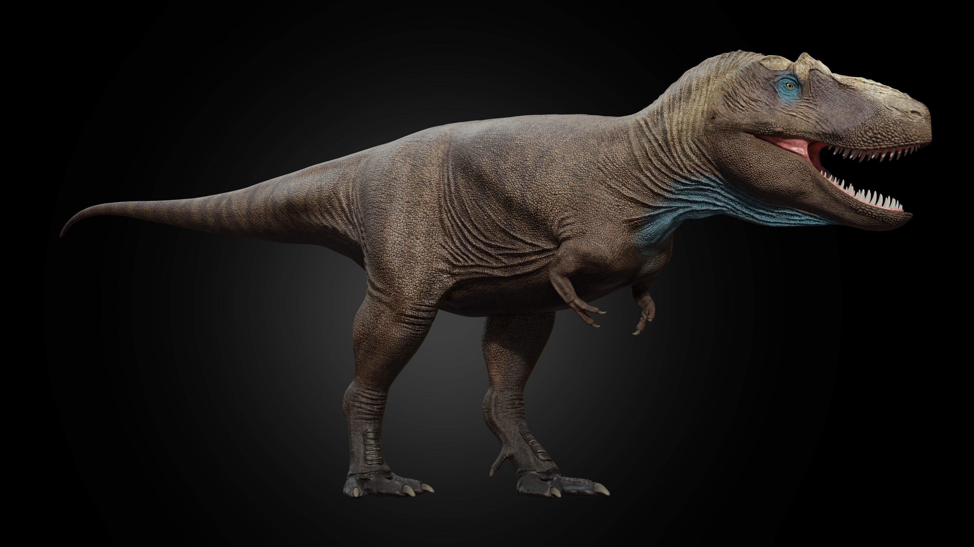 3D model Daspletosaurus torosus VR / AR / low-poly | CGTrader